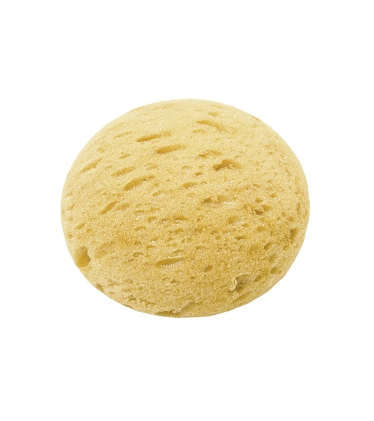 Round Tack Sponge | TATO'S MALLETS