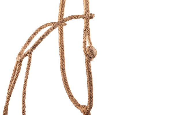 Round Braided Rawhide Halter | TATO'S MALLETS